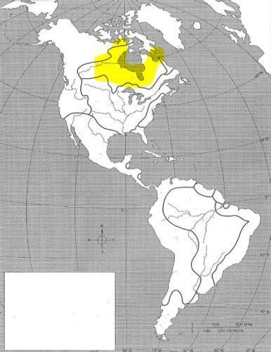 world unit 4 map quiz flashcards quizlet