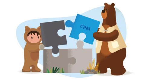 Why A Crm Implementation Expert Is Vital For Growing Businesses Salesforce Com