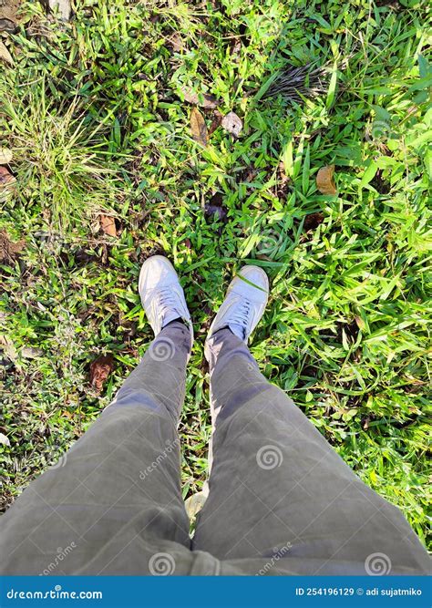 Shoes Stepping On The Grass Stock Image Image Of Green White 254196129