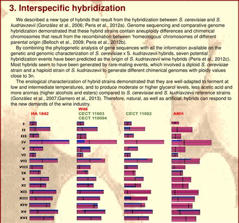 1 Genome Composition Of Hybrid Representatives Deduced From Acgh