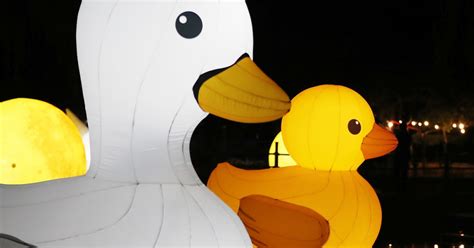 러버덕 도심을 비추다