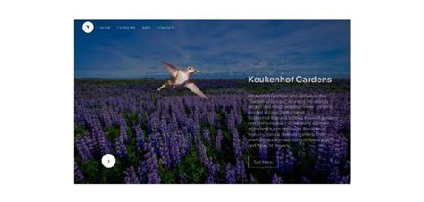 Kunal Kumar Singh On Linkedin Birdflyinganimation