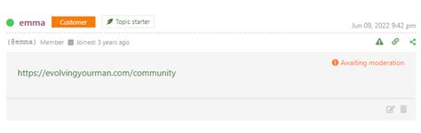 Visual Issue With Forum Avatar On Private Messages Wpforo Private Messages Gvectors Team