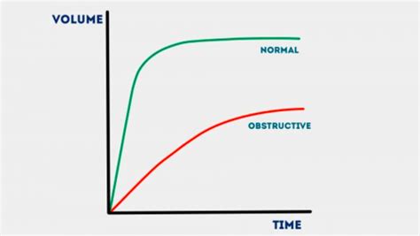 Lung Function Tests Asthma Flashcards Quizlet