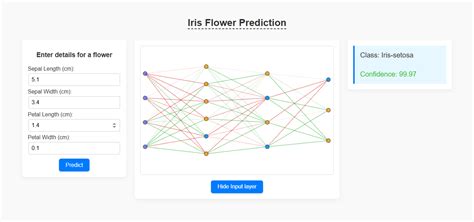 Neural Network From Scratch
