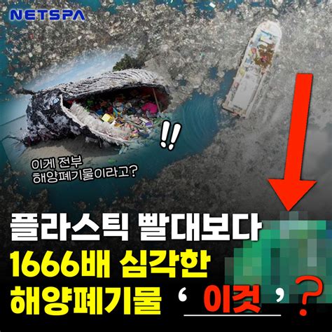 플라스틱 빨대보다 1666배 심각한 해양폐기물 이것 아임인 부산