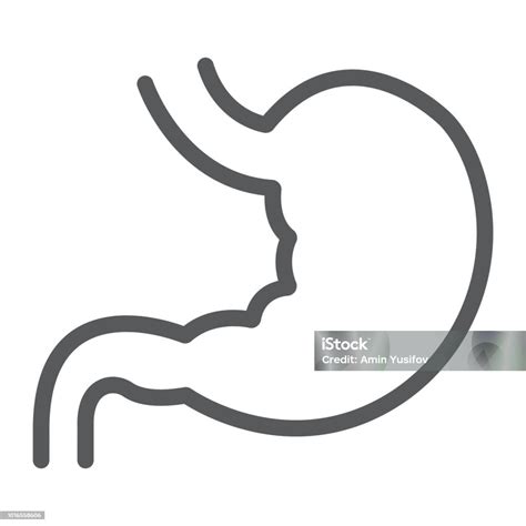위 선 아이콘 해부학 생물학 인간 장기 서명 벡터 그래픽 흰색 배경 Eps 10에 선형 패턴 사람 위 내장 기관에 대한 스톡 벡터 아트 및 기타 이미지 Istock