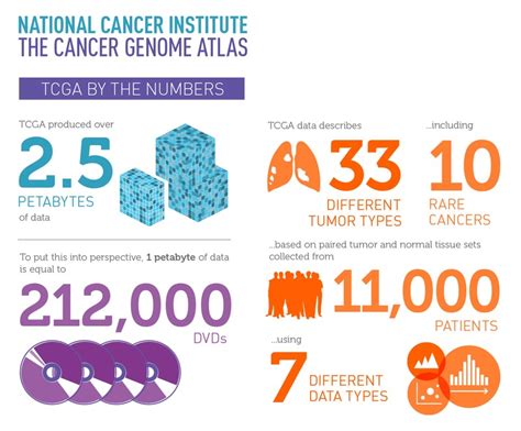 Decoding Cancer With The Cancer Genome Atlas Dr Jean Claude Zenklusen CHM Blog Computer