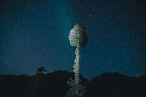 나무 근처의 텐트 사진 · 무료 스톡 사진