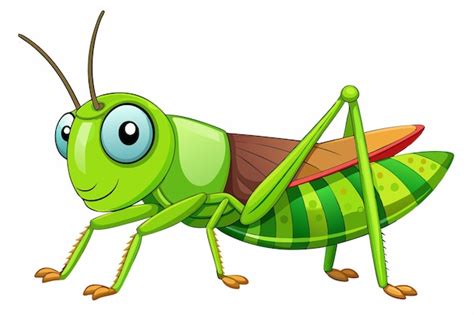 Animated Grasshopper Images Free Download On Freepik