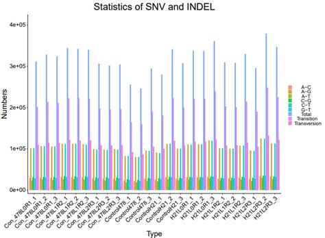 Snp Analysis Results Snv Analysis Are Shown In The Form Of A Bar Graph