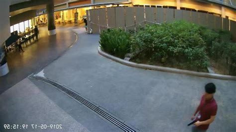 Weapons Detection Instance Segmentation Dataset And Pre Trained Model By Can