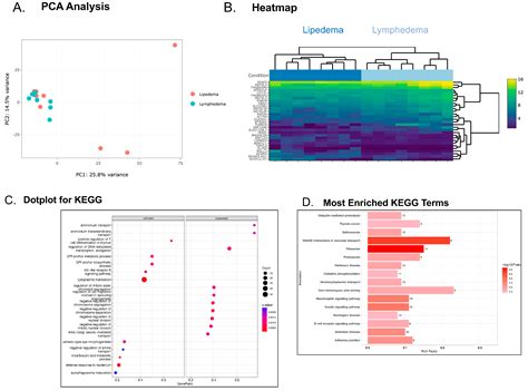 A Divergent Platelet Transcriptome In Patients With Lipedema And Lymphedema