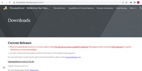 Chromedriver Version Hướng Dẫn Cập Nhật Và Tải Xuống Phiên Bản Mới Nhất