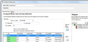 Duplicate Data And Removing Duplicate Records Datamartist Com
