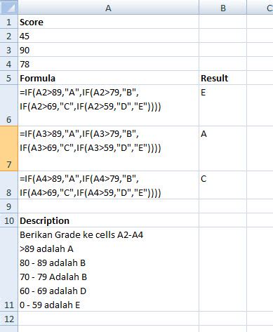 IF Function E Auditors Manual Guide