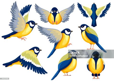 Titmouse 새의 다채로운 아이콘 세트입니다 플랫 만화 캐릭터 디자인입니다 보기의 다른 측면에 새 아이콘입니다 귀여운 만족도 템플릿입니다 벡터 일러스트 레이 션에 고립