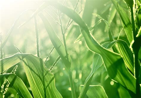 aws greengrass 2 0 edge runtime new dev capabilities and open source