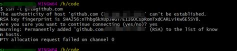 When Local Git Connects To Github PTY Allocation Request Failed On Channel ProgrammerAH