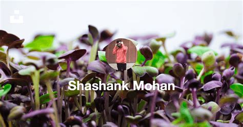 Shashank Mohan Shashankmohan Unsplash Photo Community