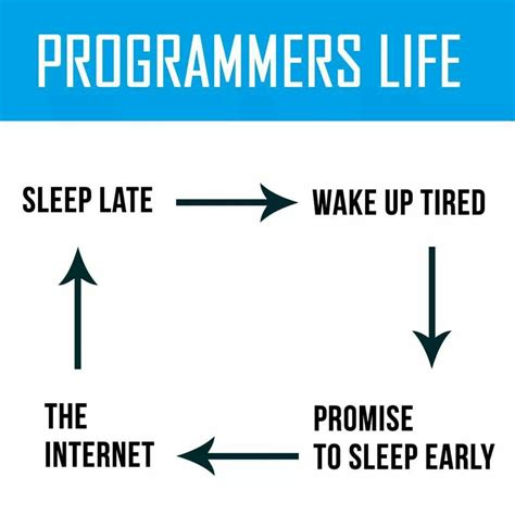Programmer Life Rprogrammerhumor