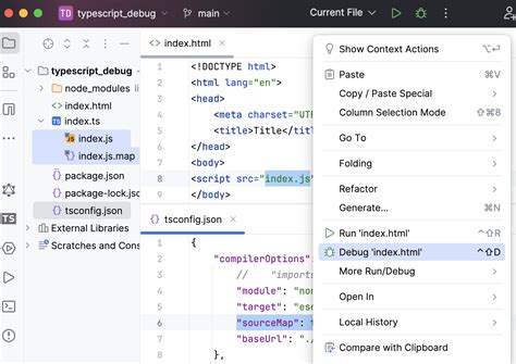 运行和调试 Typescript Webstorm 文档