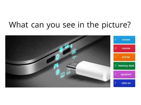 Unit 4 Activity 2 Quiz