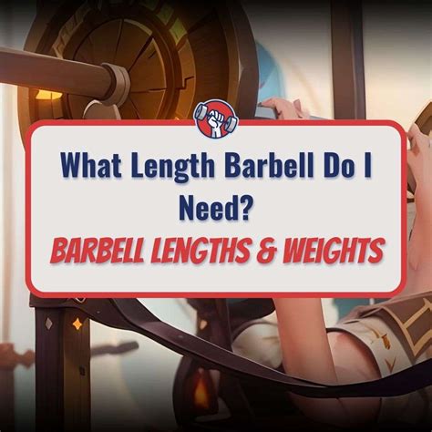 What Size Barbell Do I Need For Bench Press At Ina Peterson Blog
