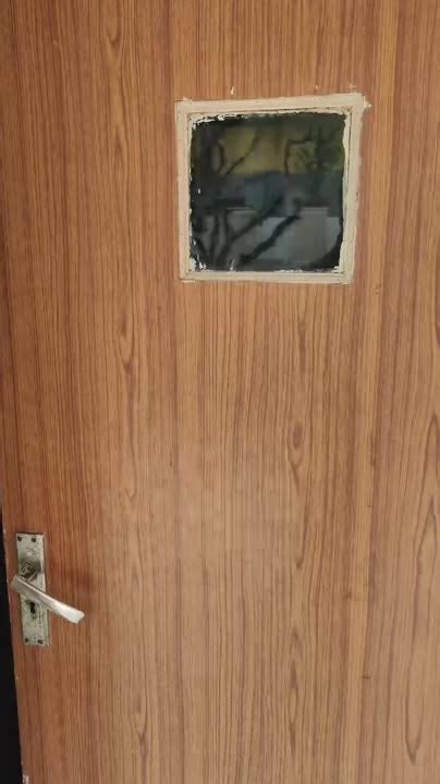 Delhi Technical Campus Greater Noida On Linkedin Foss Linux Cli