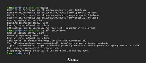 Installation Et Configuration Initiale De Redis Labex