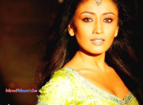 Bollywood Hollywood Actress