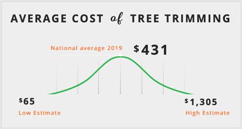 Average Cost Of Tree Trimming With 3 Examples