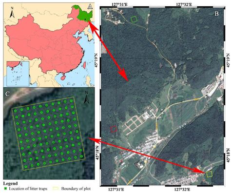 Remote Sensing Special Issue Monitoring Forest Carbon Sequestration With Remote Sensing
