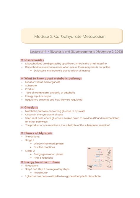 bchm 102 week 8 lecture notes and tutorial notes sorted by week