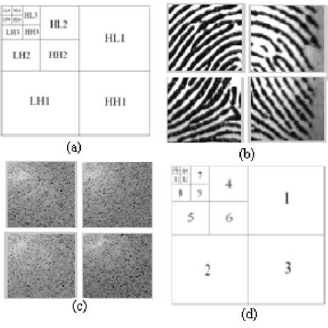 Classification Of Biometric Characteristics Download Scientific Diagram