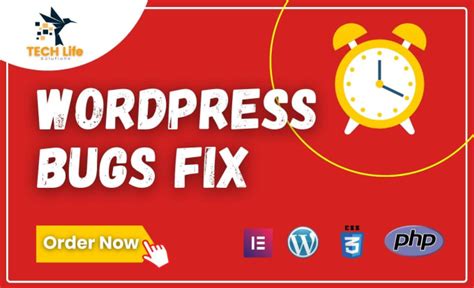 Help To Fix Troubleshoot Wordpress Bugs Error And Problem By