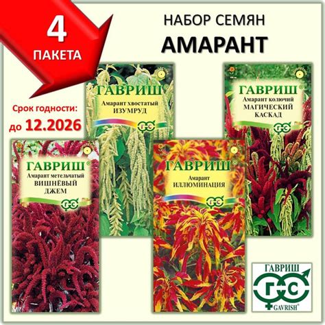 Амаранты Гавриш VLGavrishFlo - купить по выгодным ценам в интернет ...