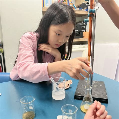 비타민 C 함량 조사 와이즈만북스