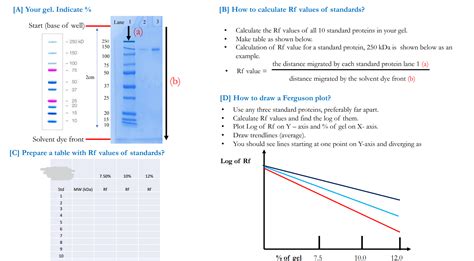 Solved I Need Help Graphing A Ferguson Plot Of Log Of Rf