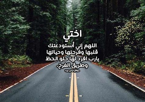 دعاء للاخت المسافرة ليدي بيرد