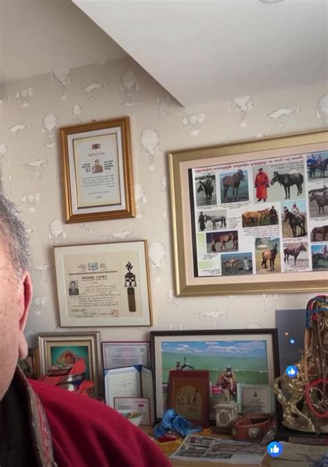 Тэр нь нэг тийм юмдаа гэж хэлэх юмгүй сайхан мал🐎🏅 Улс халзан Азарга🇲🇳 By Гоё Монгол I Love