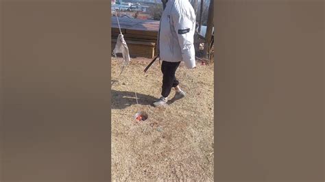 파크골프 영재 Youtube