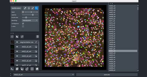 loading and displaying multiple images in napari data management