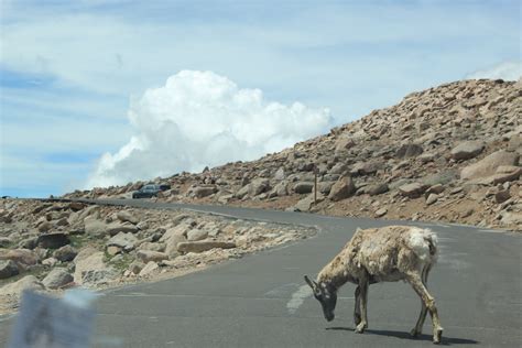 Img 9460 William Ulmer Flickr