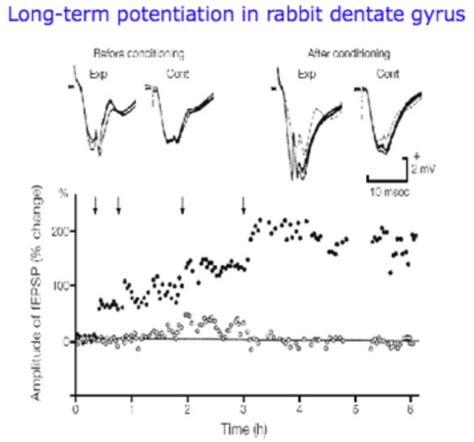 Ltp Flashcards Quizlet