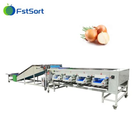 Onion Sizer Onion Sorting Machine Onion Grading Machine Onion Sizing Machine Onion Classifying