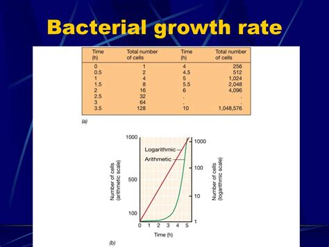 Ppt Bacterial Growth Powerpoint Presentation Free Download Id 605480