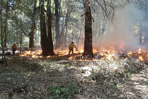 Native American Tribal Fire Management Cultural Burning And Forest