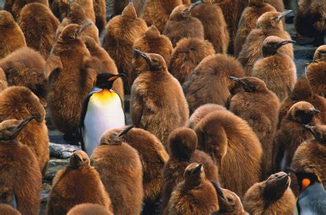 how to manage linux storage the new stack