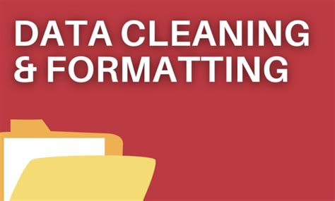 Professional Data Formatting And Cleaning Services By Codingdan Fiverr